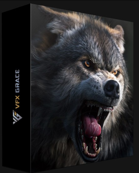 VFX Grace – Blender Animal Full Tutorial (Premium) - worldfreeware